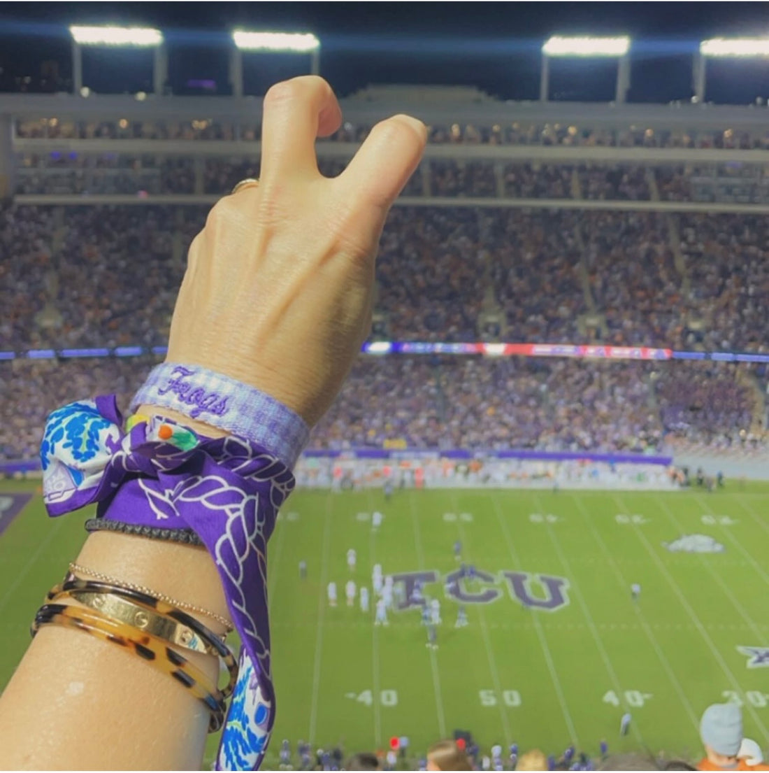 FROGS VINTAGE SCRIPT gingham – PeggyFalkenberg